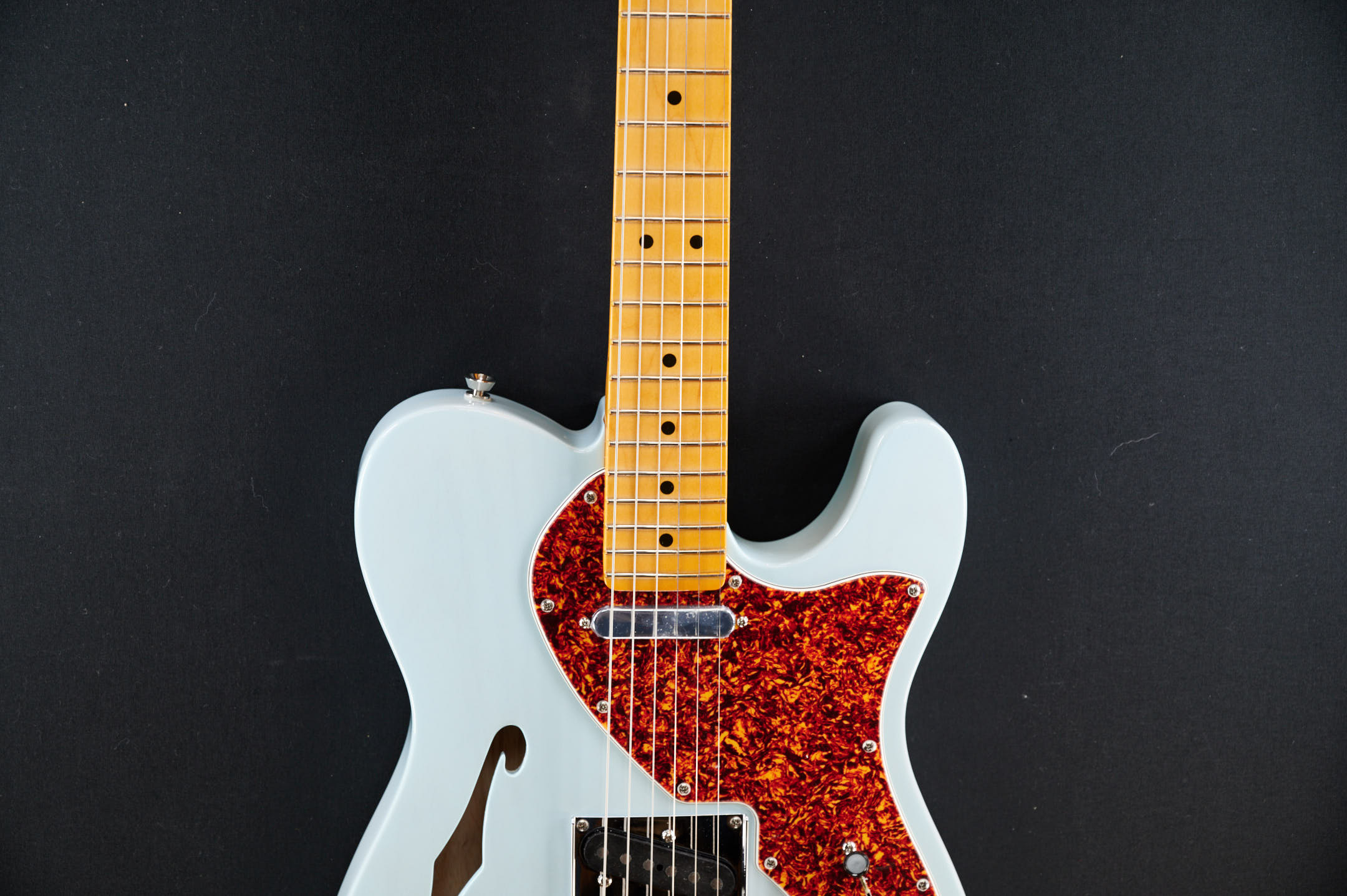 Fender LTD Am Pro II Thinline Tele DPB – American Guitar Shop ...
