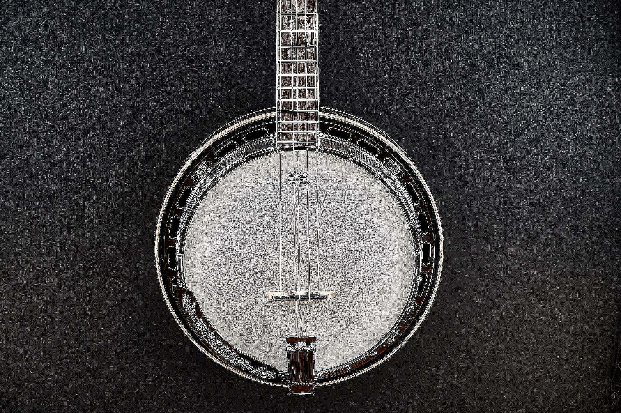 Ibanez B300-BK 5 String Banjo – American Guitar Shop - Gitarren in Berlin